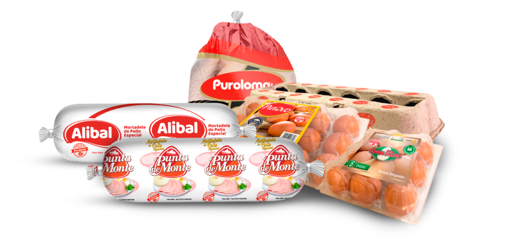 Responsabilidad Empresarial archivos - Purolomo