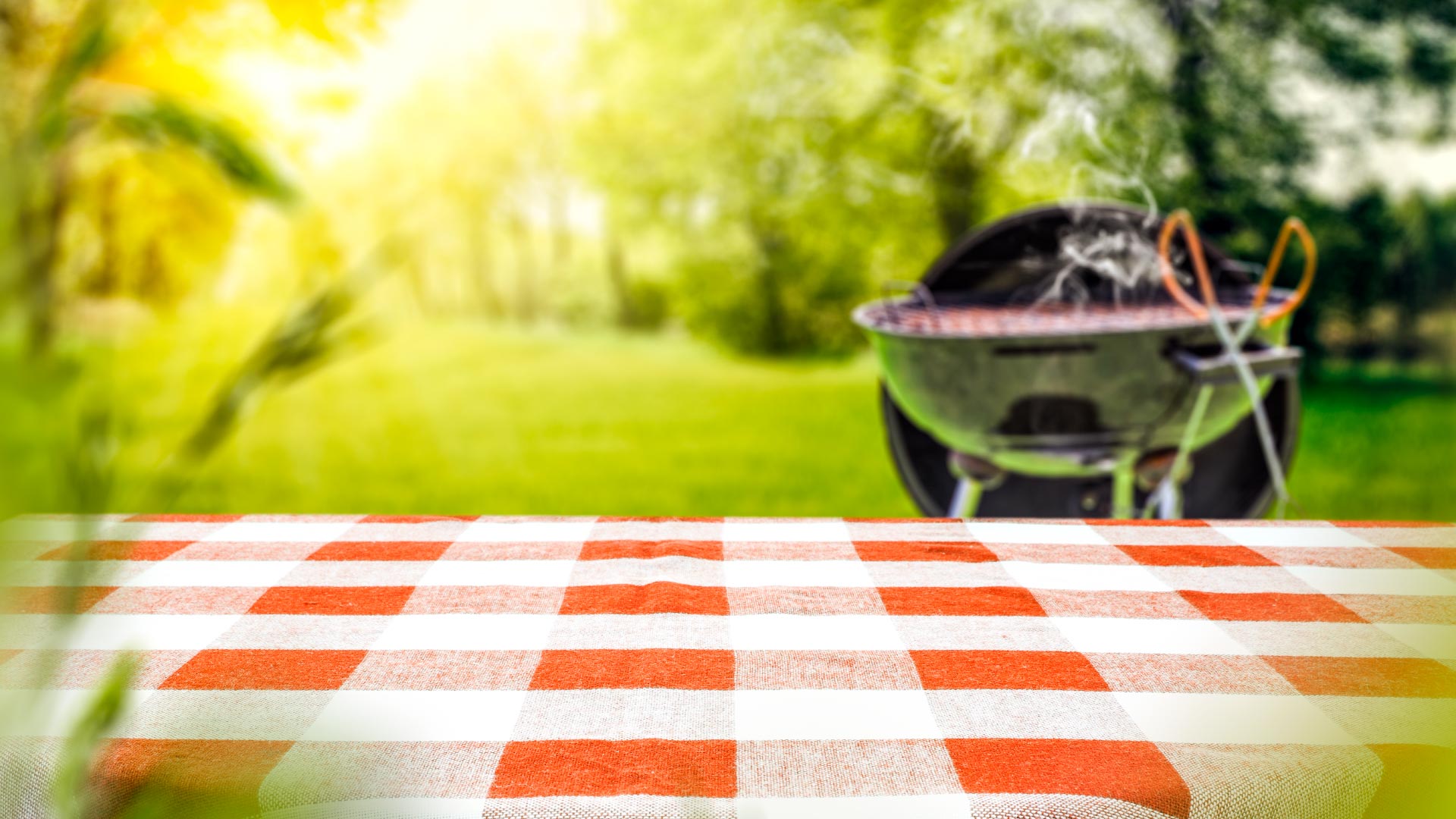 Purolomo - Pura Proteína | David Somoza Mosquera, Alimentos Balanceados ...