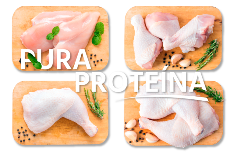 Página Pollo Purolomo - Purolomo