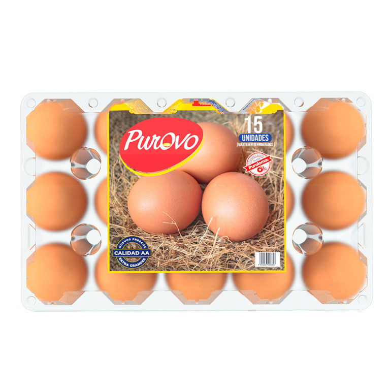 Catálogo - Purolomo